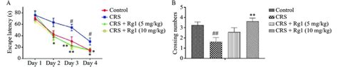 Effect Of Rg1 On The Spatial Memory Of Rats In Mwm After Crs Induction Download Scientific