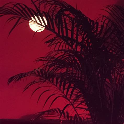 Bloody Angle Yoshirottencom