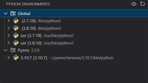 Support Poetry Vens · Issue 47 · Donjayamannevscode Python Manager · Github