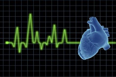 متى يكون ارتفاع معدل نبضات القلب خطيرًا؟ الكونسلتو