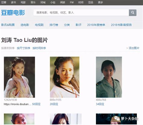 Python爬虫入门教程手把手教会你爬取网页数据 python爬虫爬取网页数据