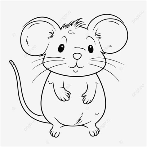 아이들을 위한 귀여운 마우스 색칠 페이지 벡터 기본 간단한 귀여운 만화 쥐 개요 흰색 배경에 고립 어린이 색칠 페이지 Png 일러스트 및 벡터 에 대한 무료 다운로드