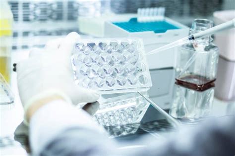 The Phase Contrast Microscope Principle