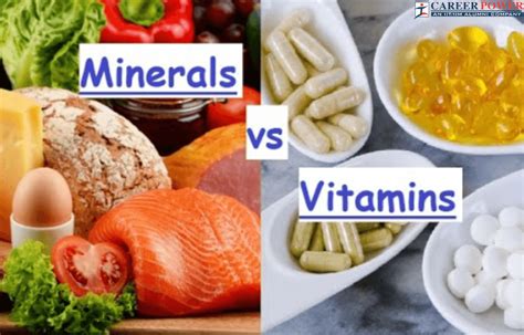 Difference Between Vitamins And Minerals