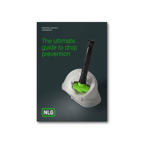 Dropped Objects Prevention Scheme Drops