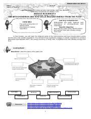 Understanding Mitochondria and Cellular Respiration in Science 9 | Course Hero
