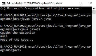 Custom Exception In JAVA Programming Pandit
