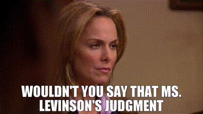 Yarn Wouldnt You Say That Ms Levinsons Judgment The Office 2005