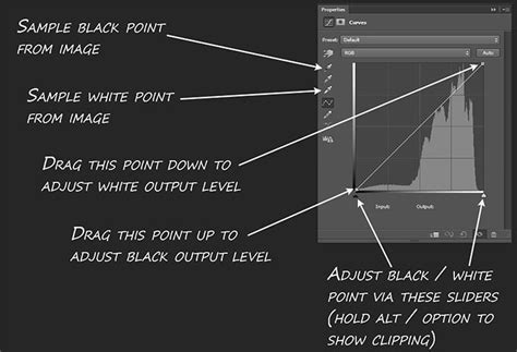 Things You Didnt Know About Curves PHLEARN