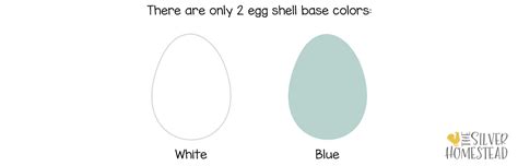 Egg Shell Interior Colors Silver Homestead