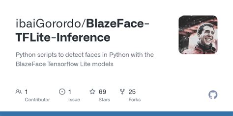 GitHub IbaiGorordo BlazeFace TFLite Inference Python Scripts To Detect Faces In Python With