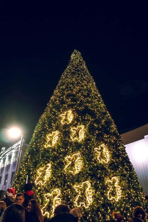 გურჯაანში საახალწლო განათებები და ნაძვის ხე საზეიმოდ აინთო ფოტოები Knews Ge