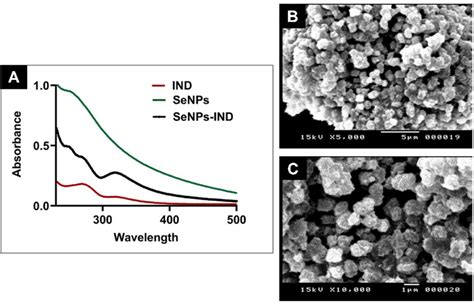 A Uv Visible Spectra Of The Synthesized Senps Ind And Ind Loaded