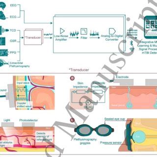 Wearable Electronic Sensors Either Directly Record Bioelectrical Download Scientific Diagram