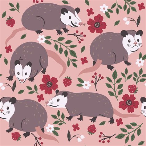 Opossum Vector Art Icons And Graphics For Free Download