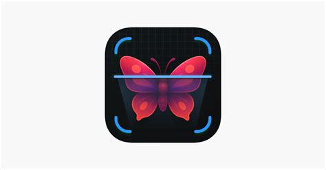 ‎insect Identifier Bug Peek On The App Store