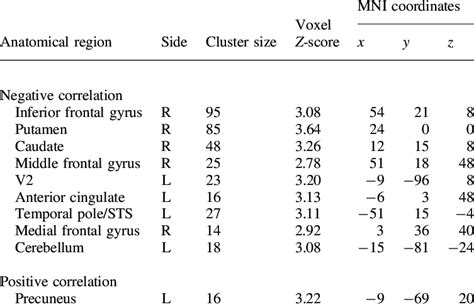 Fmri Activation Clusters During Complete Darkness Download Table