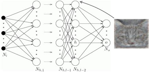Misconceptions About Neural Networks
