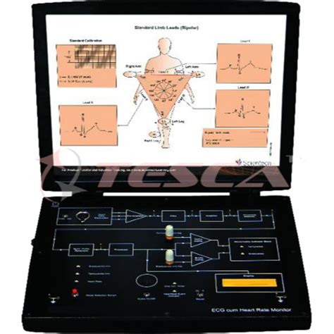 Heart Rate Cum ECG Monitor Trainer