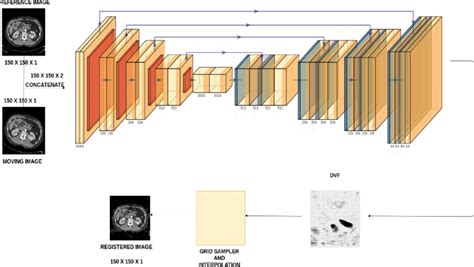 Proposed Deep Bayesian Architecture For Deformable Medical Image Download Scientific Diagram