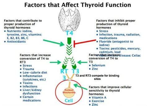 10 Day Thyroid Reset Diet How To Heal Your Thyroid Boost Metabolism