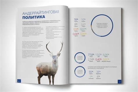 РАЗРАБОТКА ГОДОВОГО ОТЧЕТА «БЕЛЭКСИМГАРАНТ 2016 Годовые отчеты Годовой отчет Шаблоны