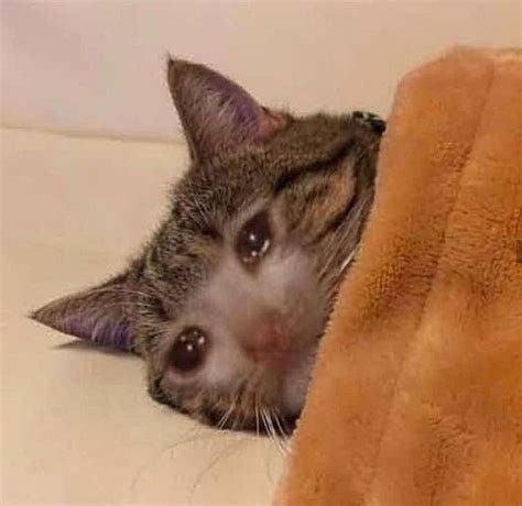 Imagenes De Countryhumans