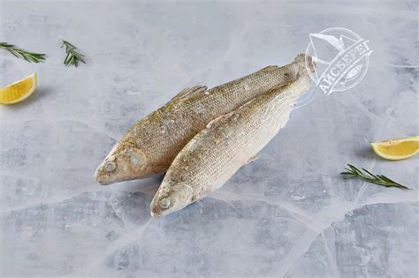 Пелядь крупная (Сырок) замороженная