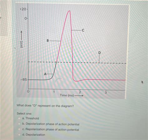 Solved What Does D ﻿represent On The Diagramselect Onea