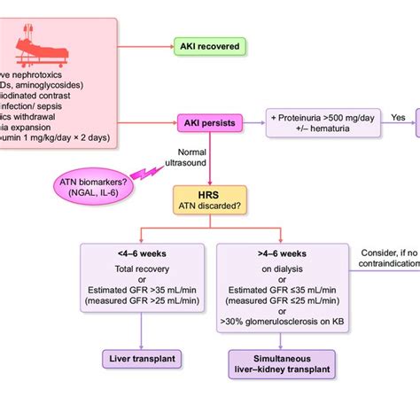 Management Algorithm For Aki In Cirrhosis Download Scientific Diagram
