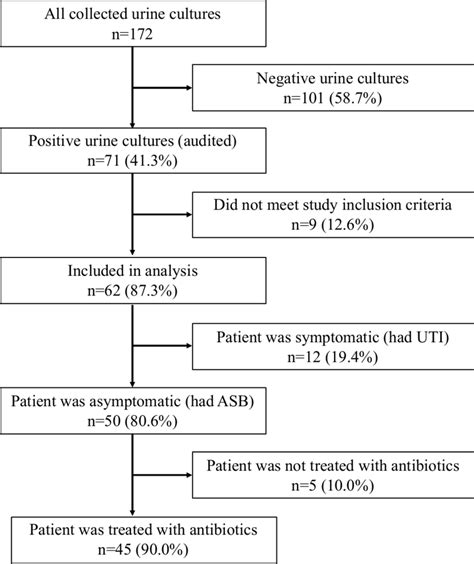 Antibiotics For Asymptomatic Bacteriuria At Rhonda Freese Blog