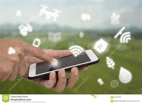 Iot Smart Farming Agriculture Industry 40 Technology Concept Farmer Hold The Tablet To Use