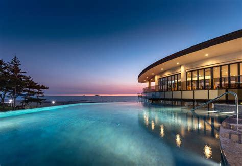 아일랜드 리솜 호텔 태안군 호텔 가격 후기 2024 트립닷컴