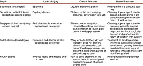 Classification Of Burn Depth Download Table
