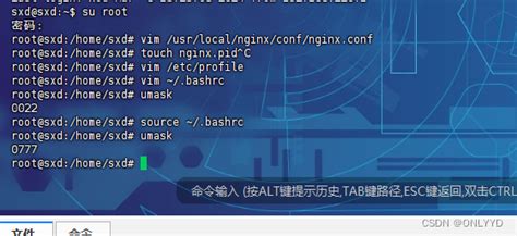 在线部署ubuntu2004服务器，安装jdk、mysql、redis、nginx、minio、开机自启微服务jar包ubuntu20