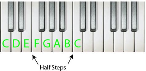 Scales Ultra Musician