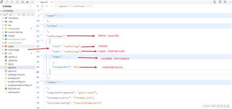 微信小程序分包详解：配置、限制与独立分包应用 csdn博客