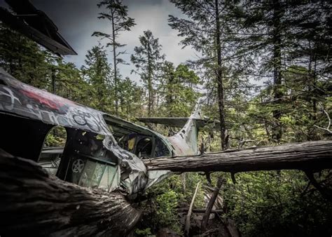 Canso Plane Crash Hike In Tofino What You Should Know