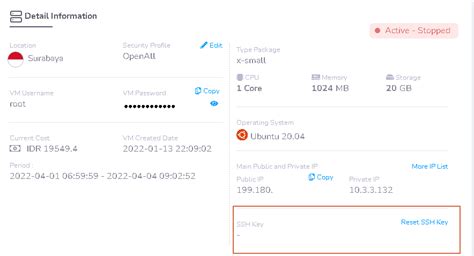 using the ssh key feature in serverstadium dashboard serverstadium