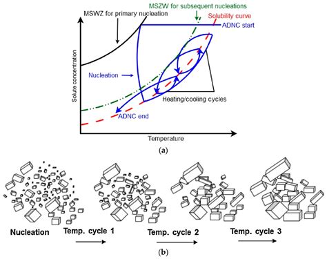 Crystallization Control Approaches And Models Crystallization Process
