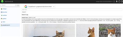 Error With Locale Myrobotlab