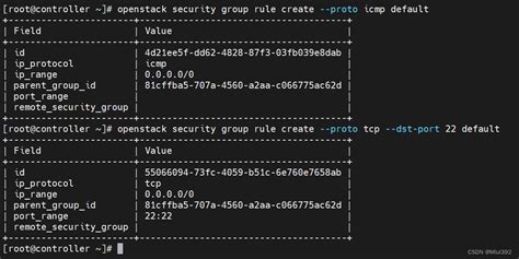Openstack云计算平台 启动一个实例openstack创建实例 Csdn博客