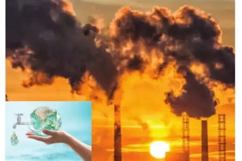 Cost Of Consumption The Statesman