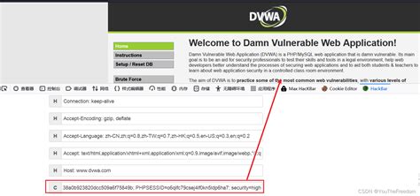 Dvwa —— Weak Session Ids 弱会话 Id Csdn博客