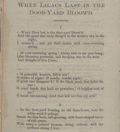 Dactyl Introducing A Complex Poetic Meter