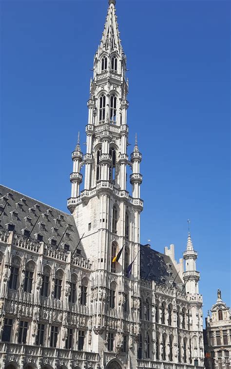 УКРАЇНЦІ В БЕЛЬГІЇ РОБОТАОРЕНДАОГОЛОШЕННЯ Facebook