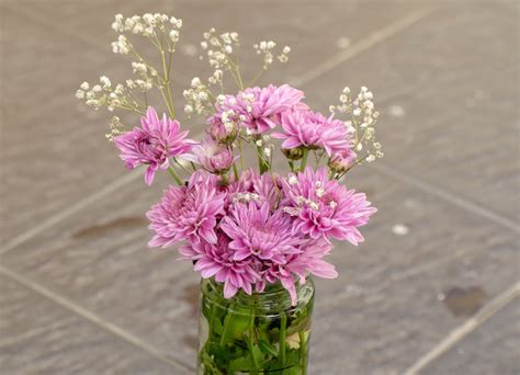 관상용 식물 국화 꽃 꽃 장식 꽃꽂이 꽃다발 꽃병 꽃이 피는 꽃잎 녹지 부드러운 색상 팔레트 분홍색 꽃 생화 섬세한 꽃 소프트 핑크 식물의 실내