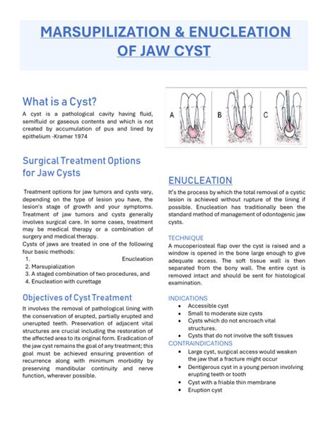 Op Assignment 2 Pdf Surgery Medical Specialties