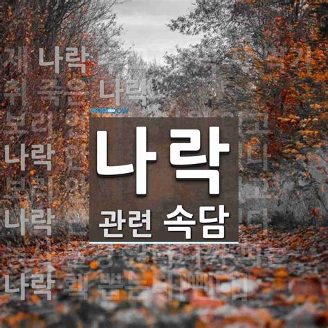 나락에 관한 속담 5개