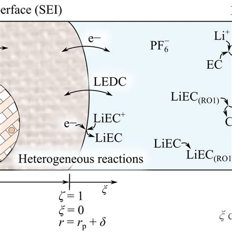 Model Domain With Representative Physics Electrochemical Chemical Download Scientific Diagram